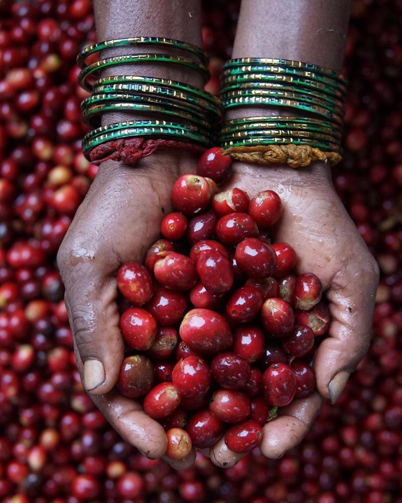 Social Roasters – Have a sip, Take a trip